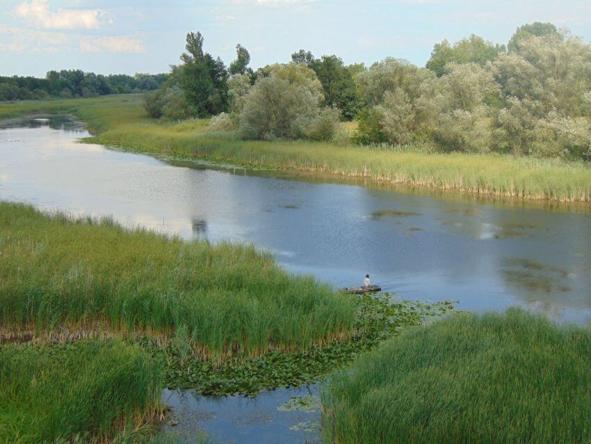 Ekosistem reke Save – Dete – zaštitnik planete